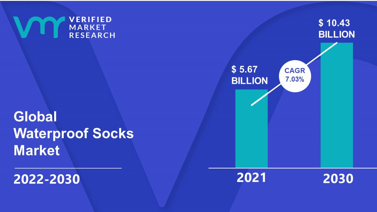 Waterproof Socks Market Report: Size, Growth, Trends & Forecast (2025–2033)